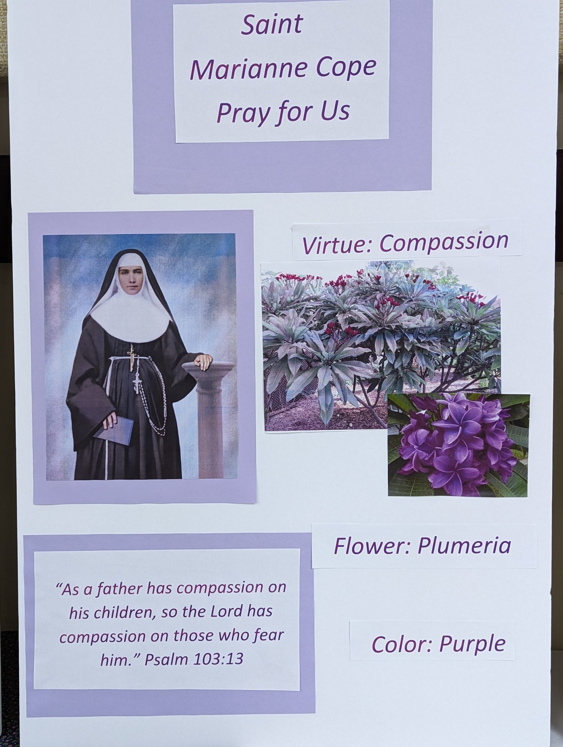 Little Flowers – St Jude Catholic Chuch
